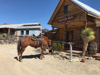 At The Ranch - Ten Bits Ranch | Cowboy Inn