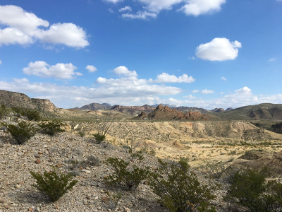 At The Ranch - Ten Bits Ranch | Cowboy Inn